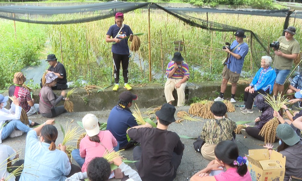 復振部落小米文化 花圃計畫2.0活動開跑 — TITV News 原視新聞網