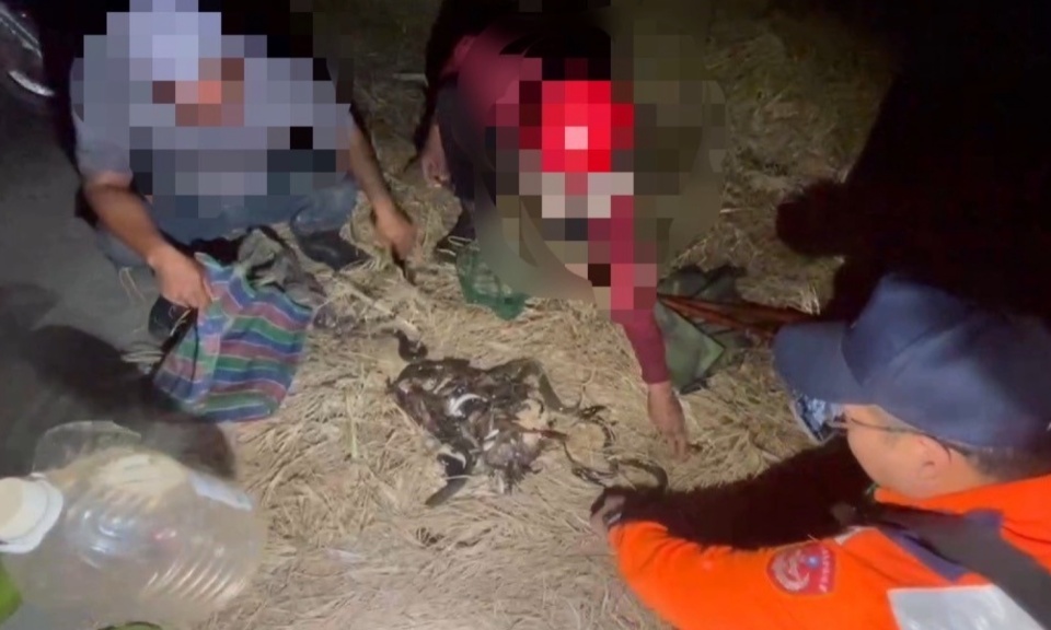 台東4男非法電魚 漁獲3.7公斤辯稱「獵魚祭」 — TITV News 原視新聞網