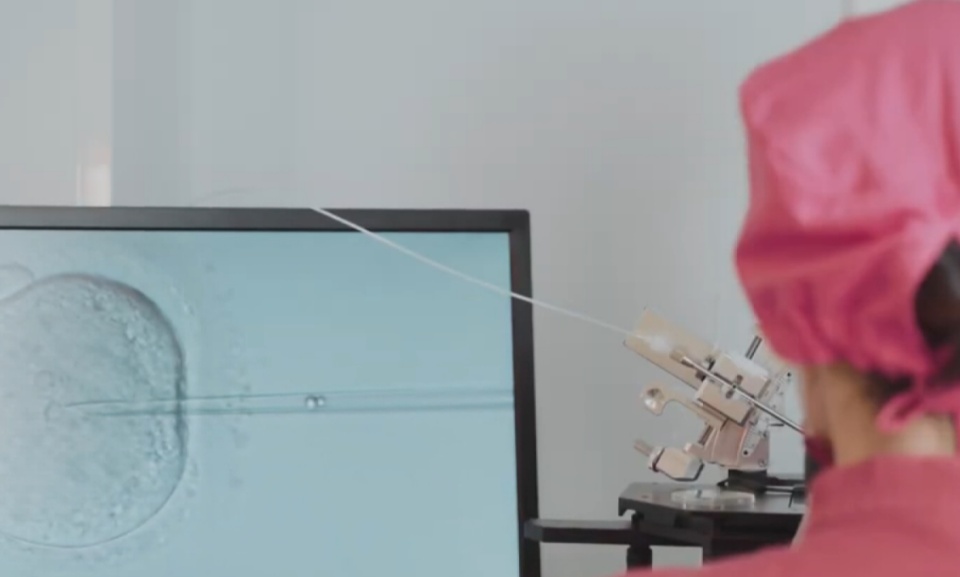 民團調查：逾7成民眾 不支持開放單身人工生殖 — TITV News 原視新聞網