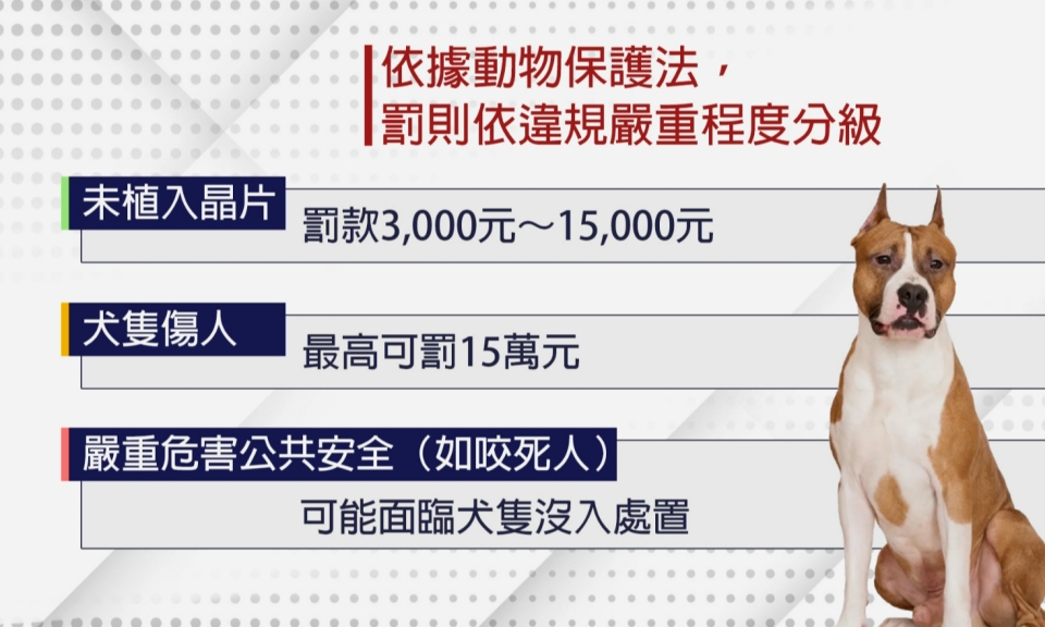 比特犬跳車撲咬機車騎士 飼主最高恐罰15萬 — TITV News 原視新聞網