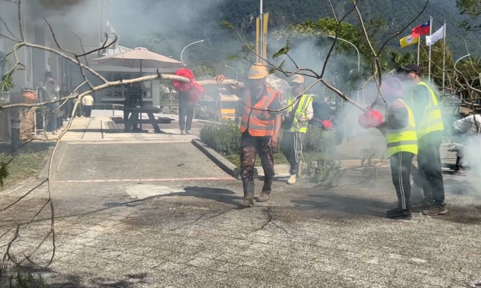 台9線進行拓寬改善 「小鎮迎娶大樹」到新家 — TITV News 原視新聞網